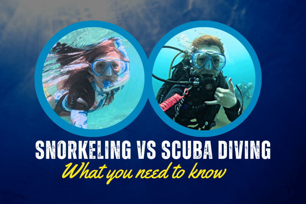 Snorkeling vs SCUBA diving: What You Need To Know - Diving Escapades
