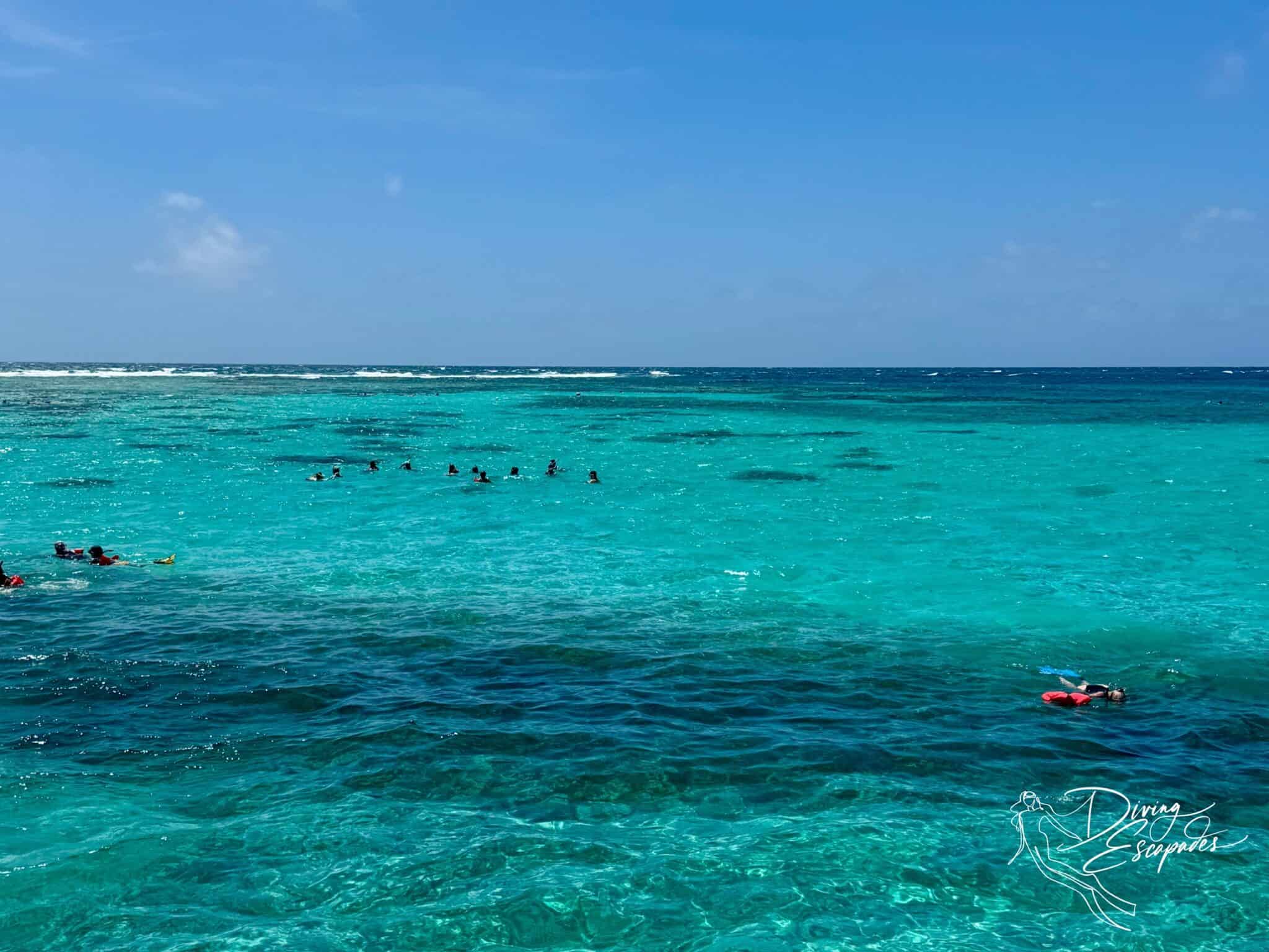 Belize Snorkeling Guide: Where to Go & What You’ll See